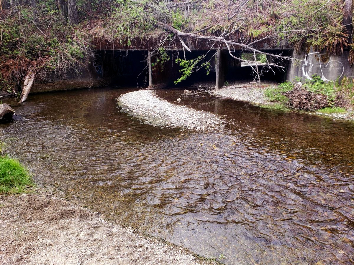 SR 3 Chico Creek Fish Barriers - TKDA
